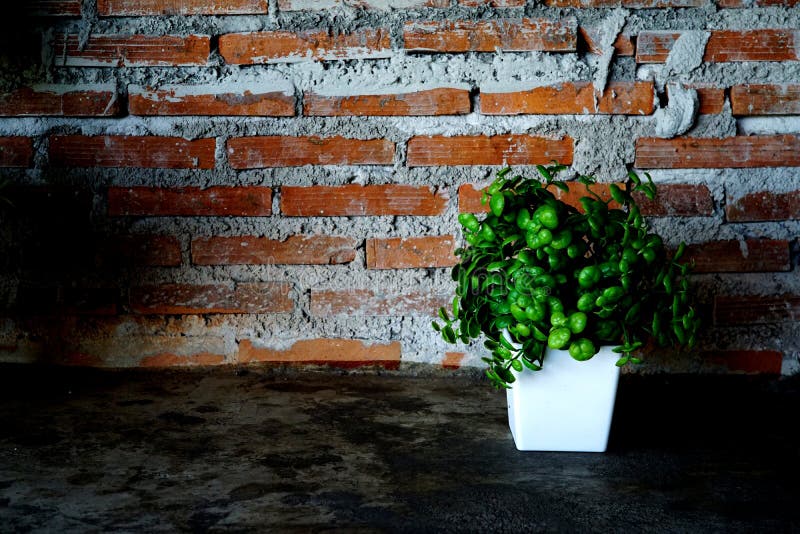 Wall decoration stock image. Image of fake, duck, fork - 82503243