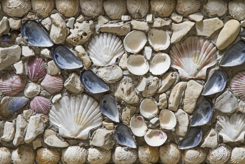 Wall Decoration with Shells Stock Photo - Image of form, ornament: 73525614