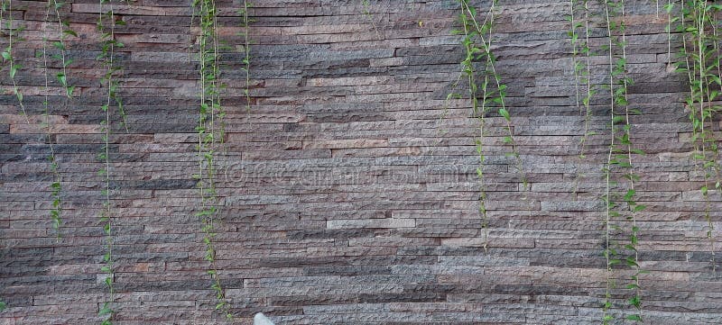 229 Andesite Wall Stock Photos - Free & Royalty-Free Stock Photos from ...