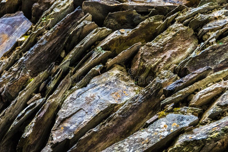 Modelo Negro Stock Photos - Free & Royalty-Free Stock Photos from ...