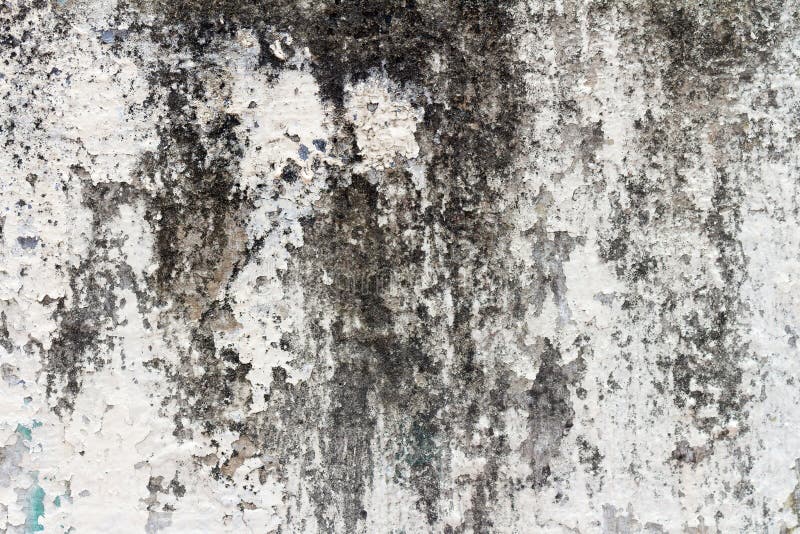 Wall Dirty. Paint Dirty. Street Wall.textured Stock Image - Image of ...
