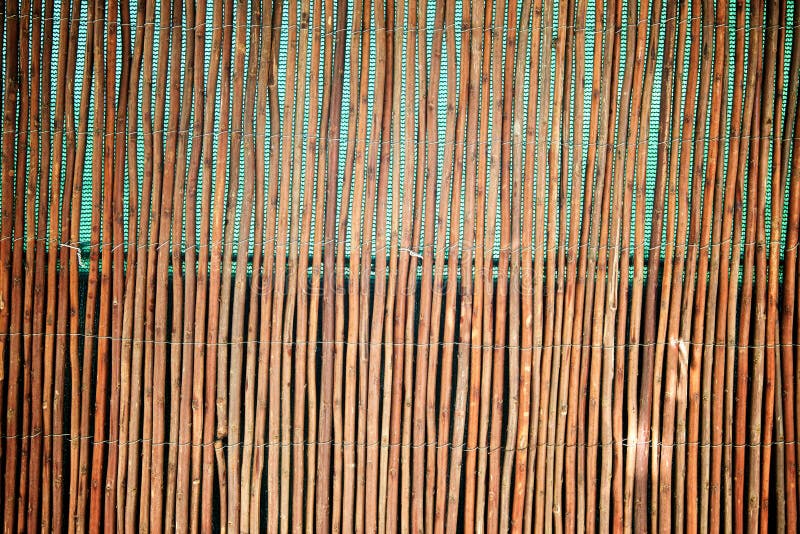 Wall of dry reeds stock image. Image of reeds, close - 182170031