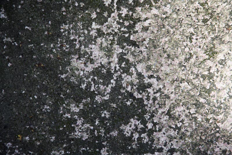 Wall with Eroded Paint. Decorative Background Design Stock Image ...