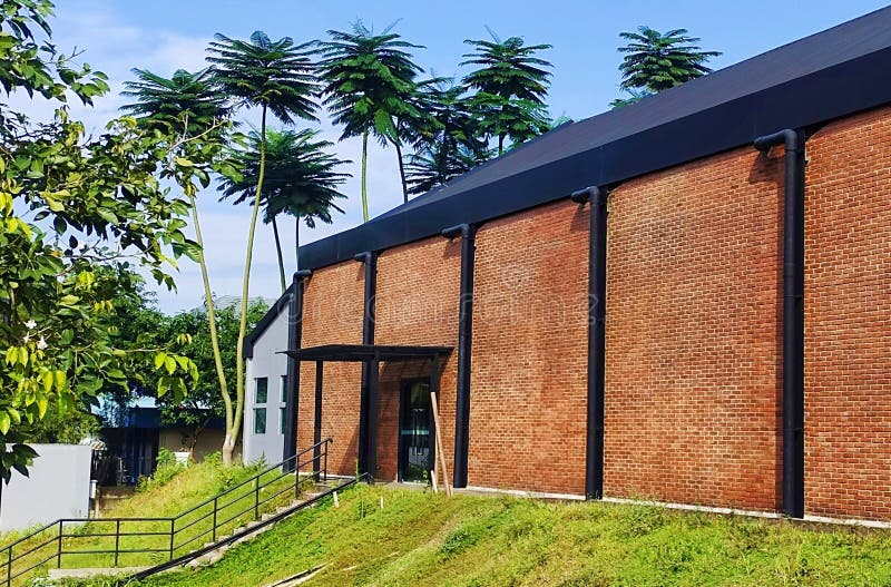 Wall Exposed Building with Tropical Trees Stock Photo - Image of grass ...