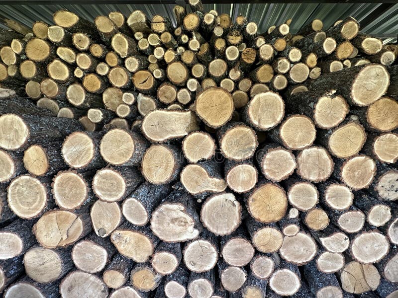 Wall of Firewood, Background of Dry Chopped Firewood. Background ...