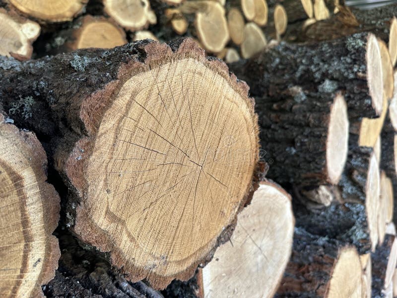 Wall of Firewood, Background of Dry Chopped Firewood. Background ...