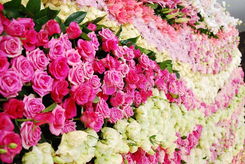 Wall Flower Picture. Image: 15011908