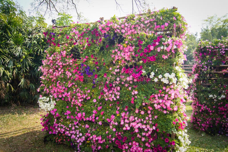 Wall Flower stock image. Image of wall, foliage, landscape - 110338157