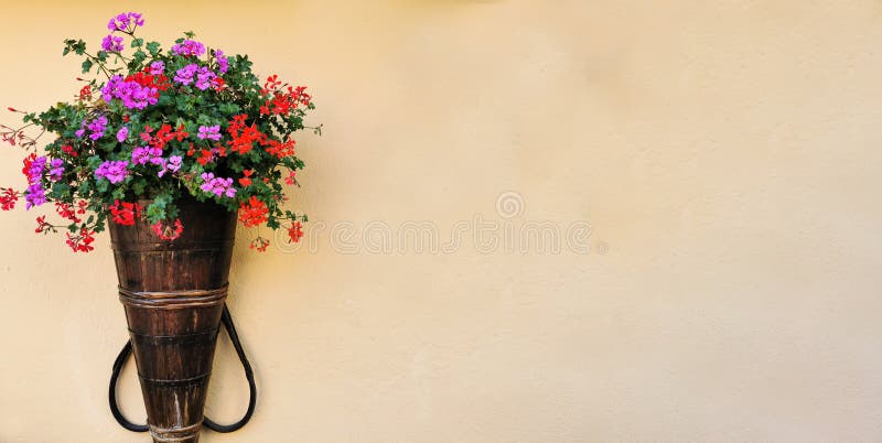 Wall with Flower Pot for Background Use with Copy Space Stock Photo ...