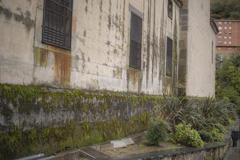 Wall Full of Moss and Under There are Some Plants Stock Photo - Image ...