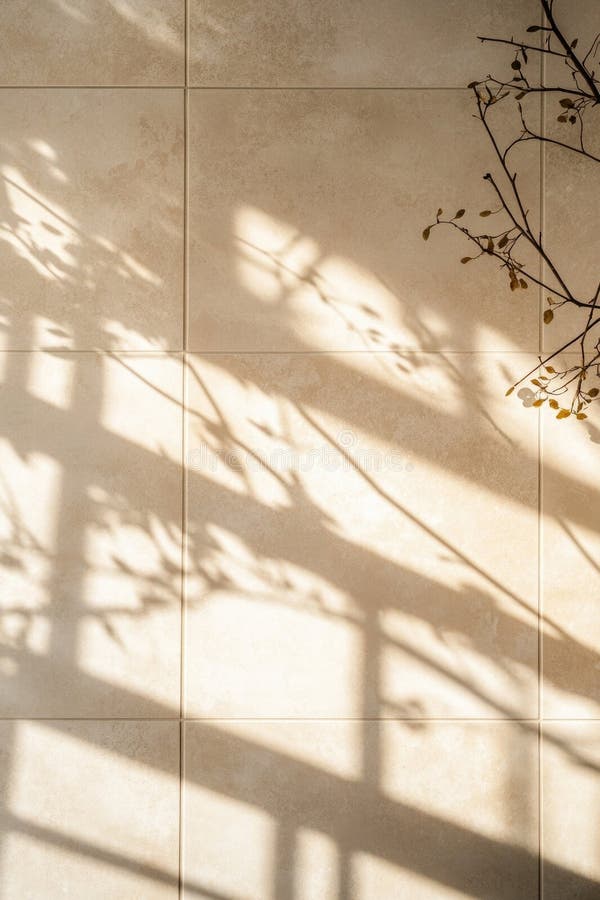 Wall Fungus Shadow stock image. Image of mold, design - 376732437