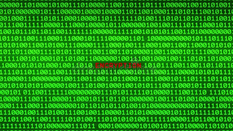 Binary Code Loop Green Matrix Number Animation Background Stock Footage ...