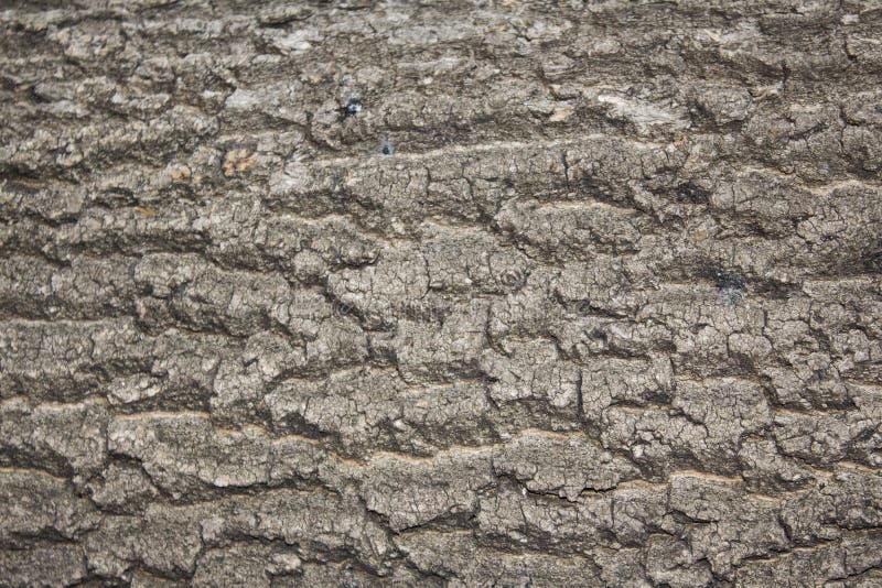 Wall Grey Rough Horizontal Texture Outside a Building. Stock Image ...