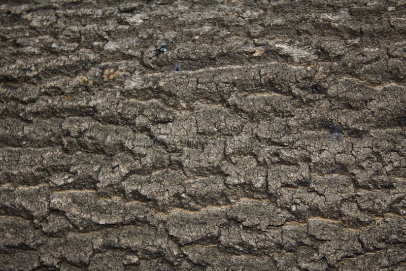 Wall Grey Rough Texture Pattern Outside a Building. Stock Photo - Image ...