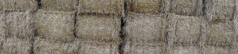 Wall of hay stock photo. Image of straw, crop, cutting - 77173616