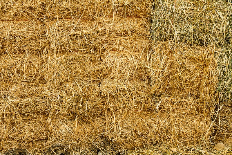 Wall of hay stock photo. Image of background, outdoors - 61583946