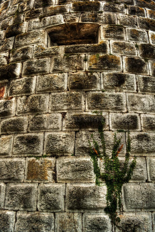 Wall HDR stock photo. Image of plant, switzerland, stone - 34895938