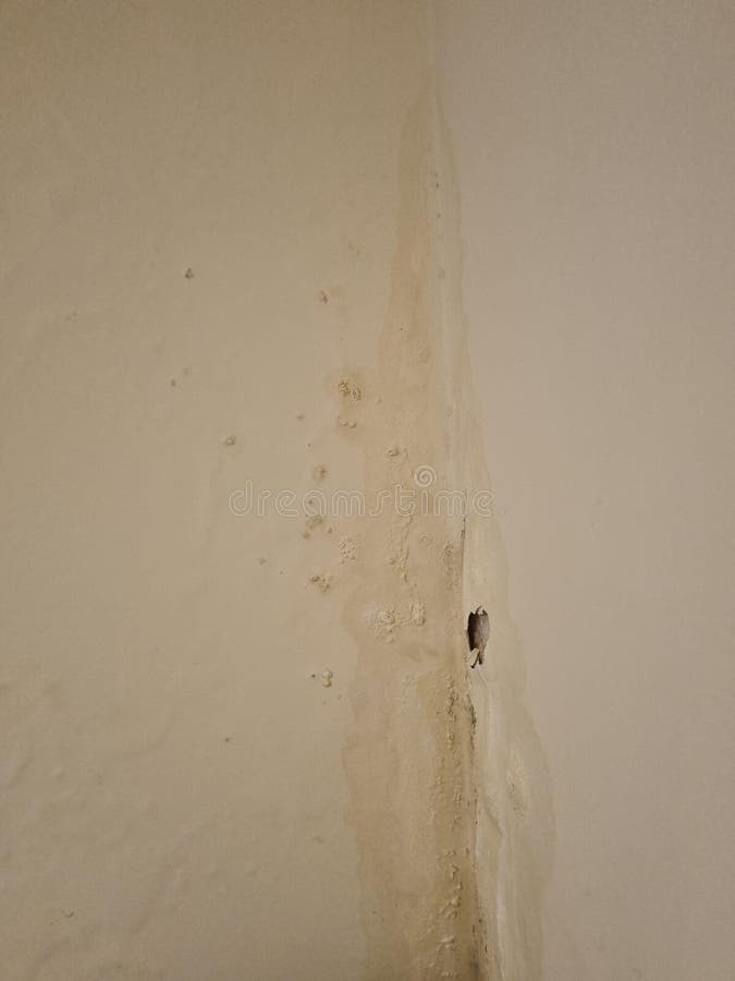 Infiltration in a wall stock image. Image of peeling - 360078089