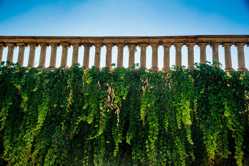 Wall with Ivi and Weathered Historic Balustrade Stock Photo - Image of ...
