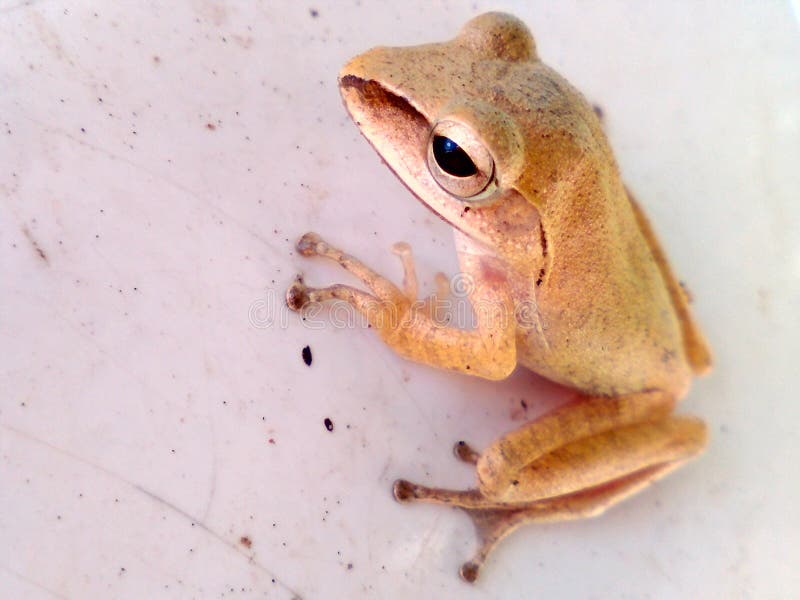 Fingertips Effects Stock Photos - Free & Royalty-Free Stock Photos from ...