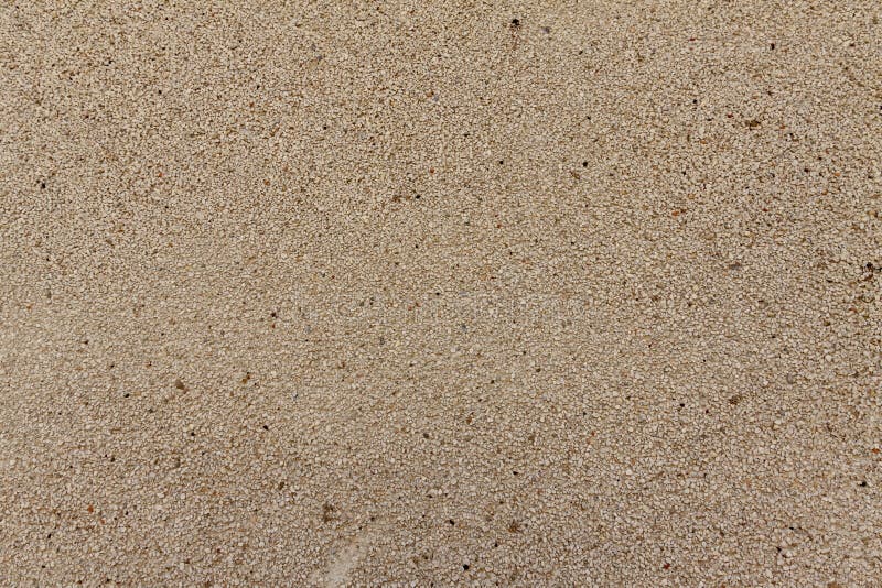 On the Wall, Light-colored Plaster from Coarse Sand, Background. Stock ...