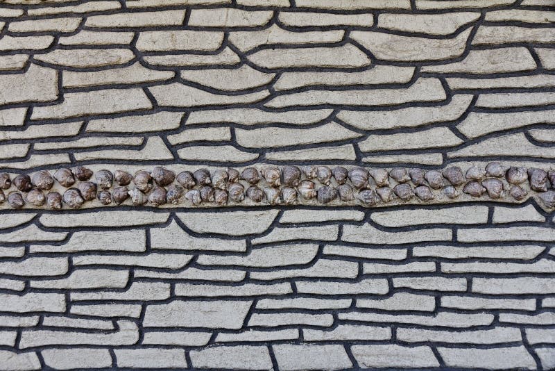 Wall Lined with Shells, Background Textured Stock Photo - Image of ...