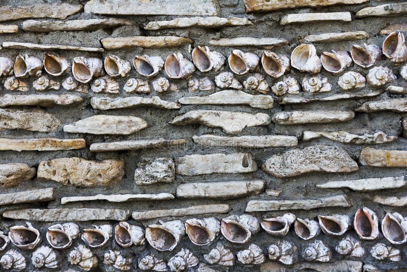 Wall Lined with Shells, Background Textured Stock Image - Image of ...