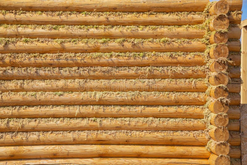 The Wall of a Log House Made of Round Logs Under Construction Using ...