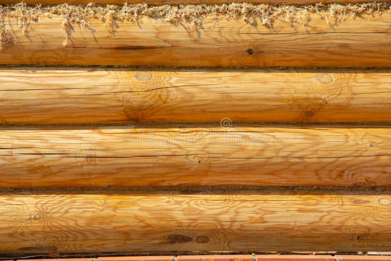 The Wall of a Log House Made of Round Logs Under Construction Using ...