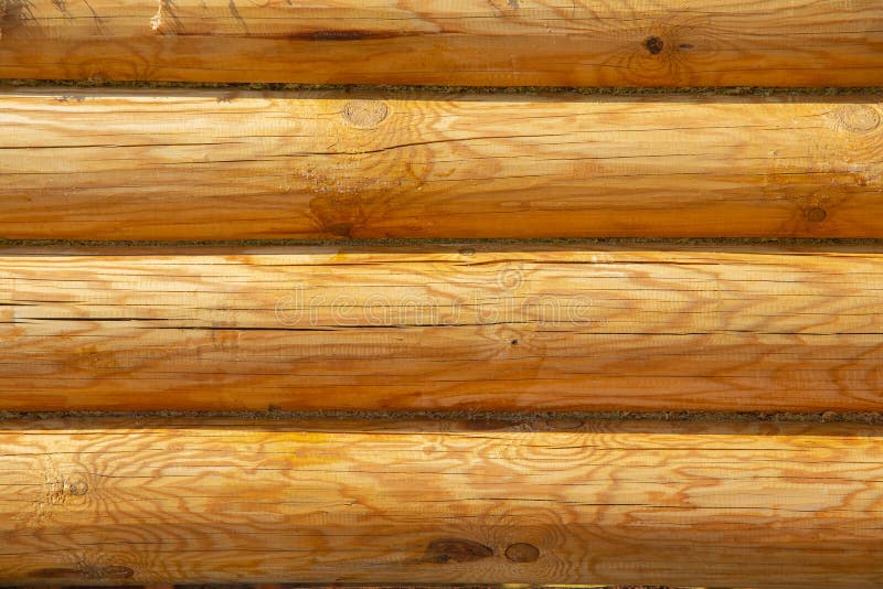 The Wall of a Log House Made of Round Logs Under Construction Using ...