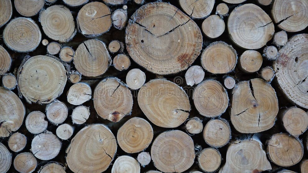 Wall of logs stock photo. Image of rock, soil, leaf - 263387812