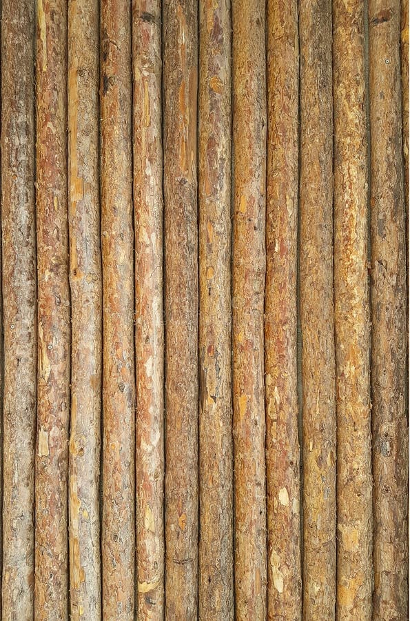 Wall of logs. stock image. Image of light, texture, logs - 136228923