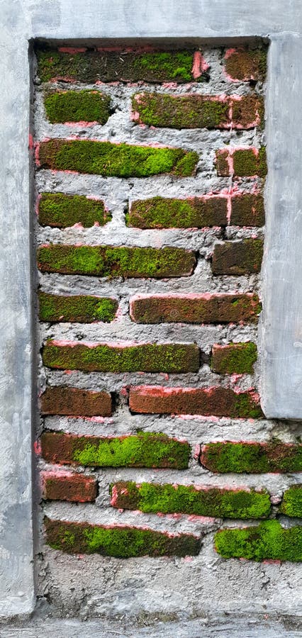 Wall Made of Bricks Which is Covered with Moss in the Rainy Season ...