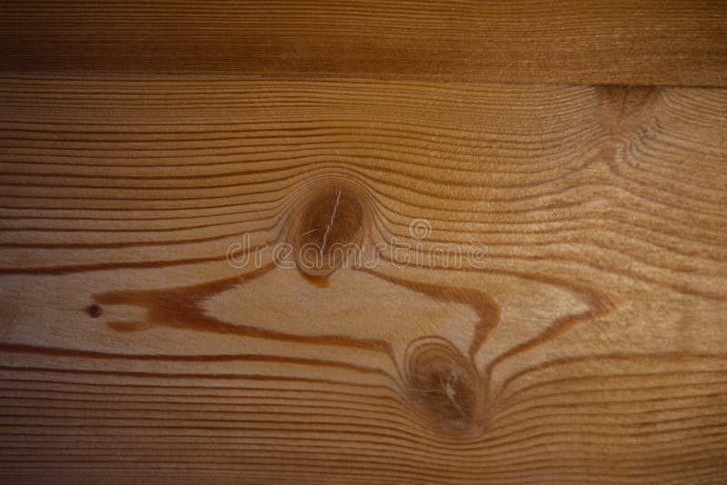 The Wall is Made of Larch Planks Covered with a Colorless Varnish Stock ...