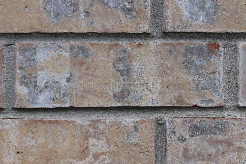 An Old Brick Wall. Macro. USA. Stock Image - Image of soil, asphalt ...