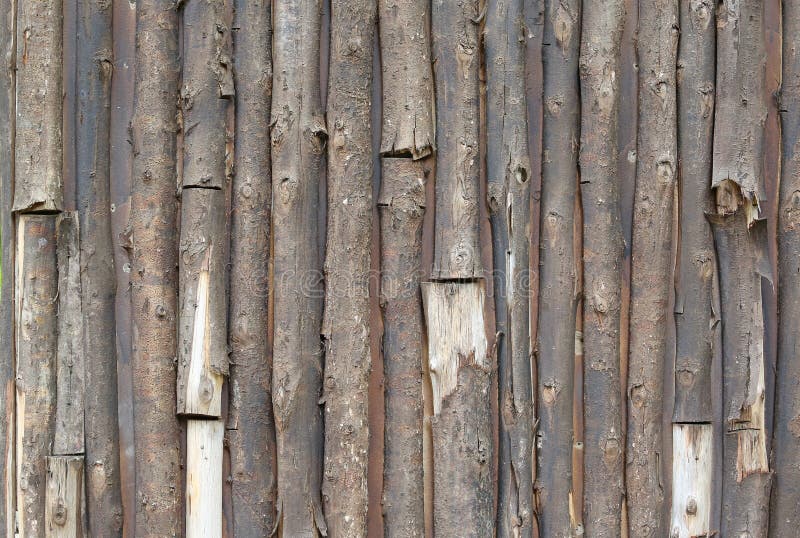 Wall Made of Logs. Wood Texture Stock Photo - Image of nature ...