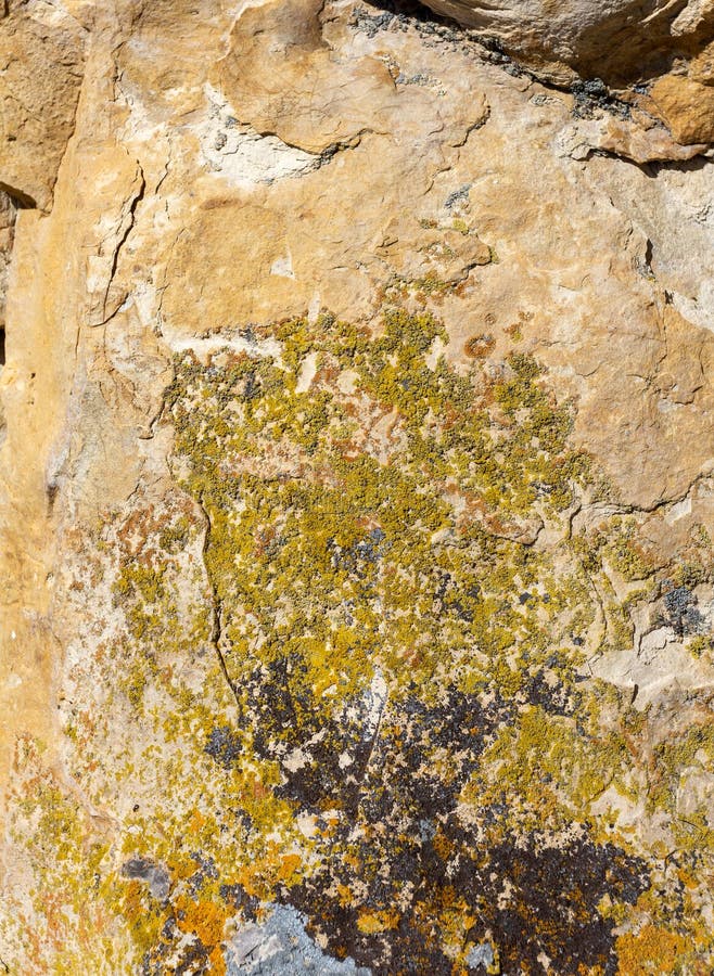 Stone Wall in a Mountain Cave, Limestone Period Structure of Geological ...
