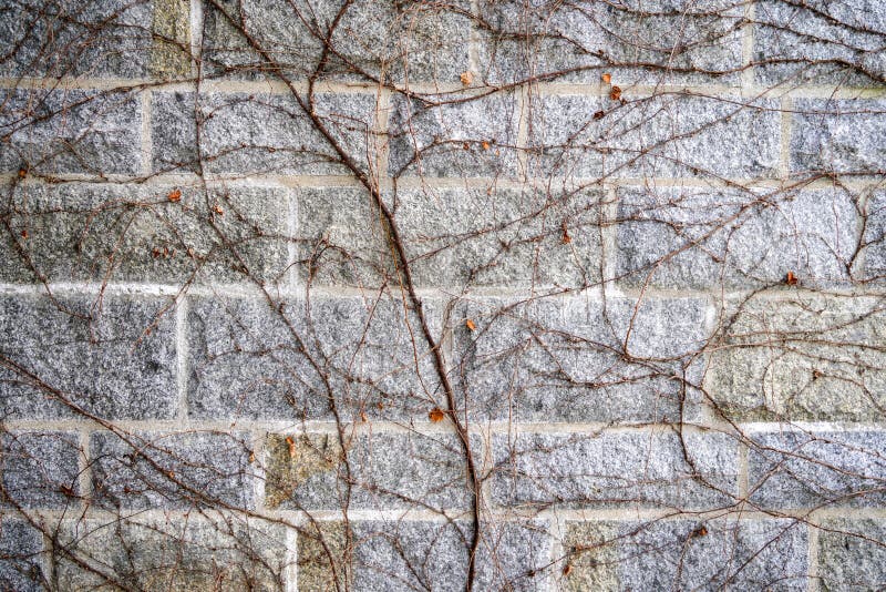 Wall Made of Natural Stone Built and Grouted Stock Image - Image of ...