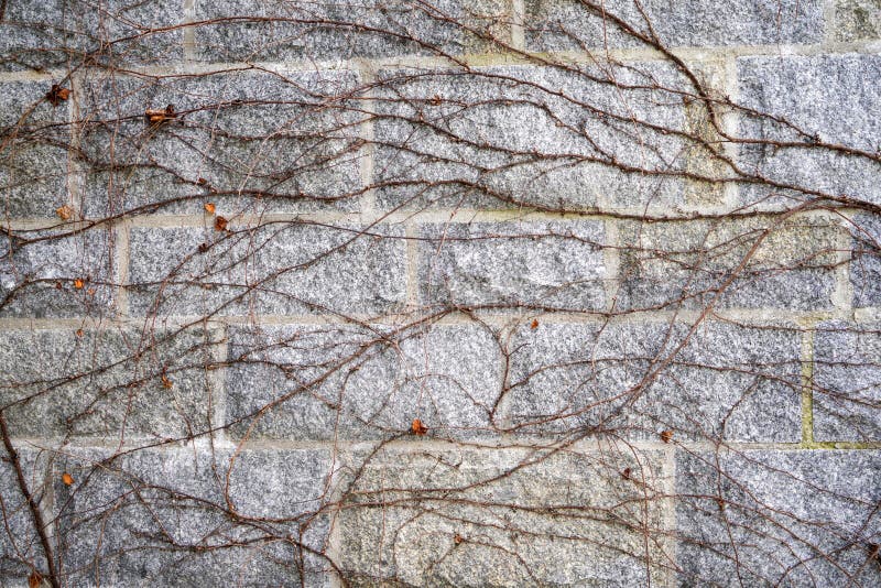 Wall Made of Natural Stone Built and Grouted Stock Image - Image of ...