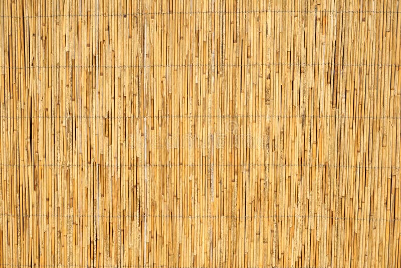 Reed wall stock image. Image of bundle, twig, texture - 5986283