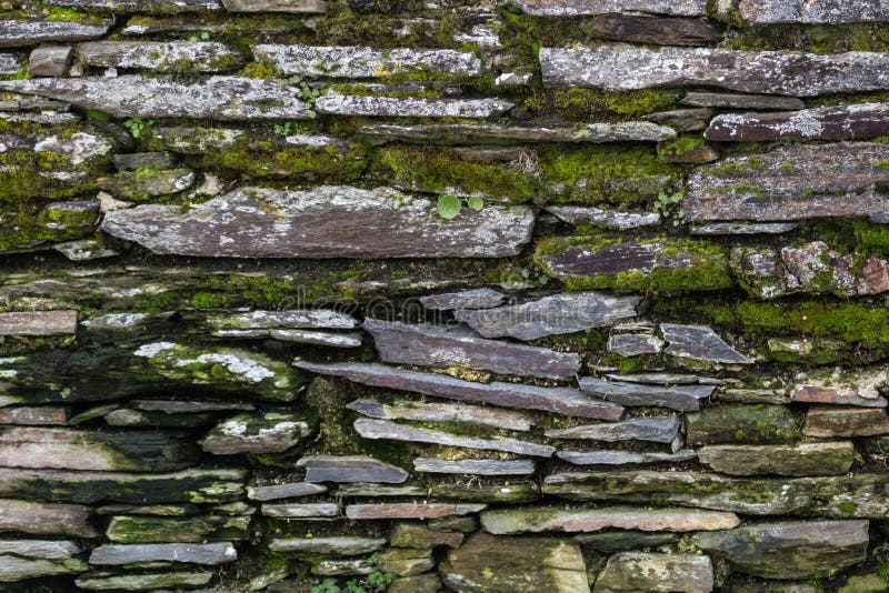 Wall Made of Rock Covered with Green Moss. Stock Photo - Image of ...