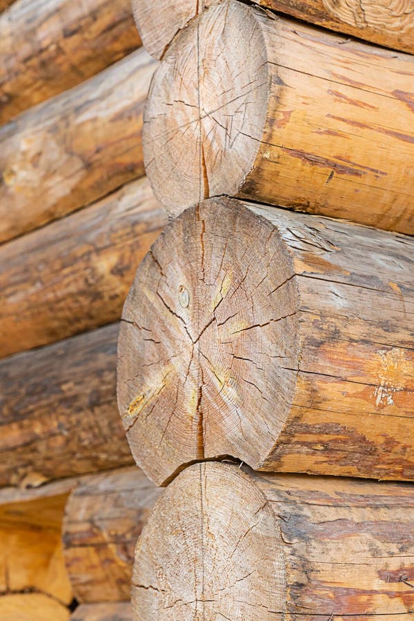 Wall Made of Round and Large Pine Logs Vertical Pattern Close-up ...