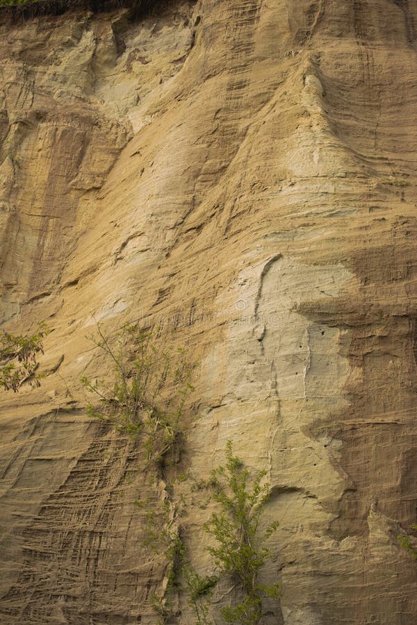 Wall Made of Sand, Sand Cliff. High Quality Photo Stock Image - Image ...