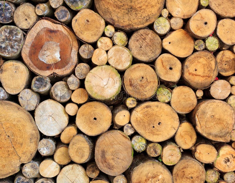Wood logs stock photo. Image of lumber, wall, construction - 30586326