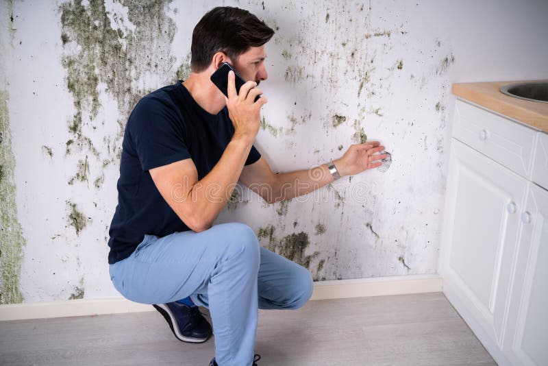 Wall Mold Problem in House stock photo. Image of mobile - 253537670