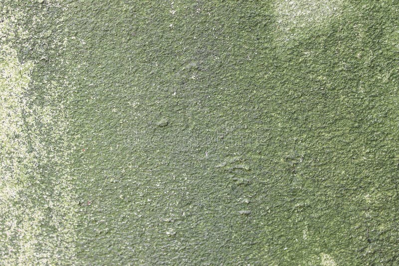 Detail of a mold texture stock photo. Image of detail - 31953116