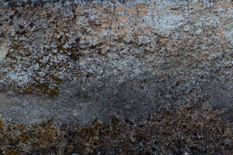 389 Mold Seamless Texture Stock Photos - Free & Royalty-Free Stock ...