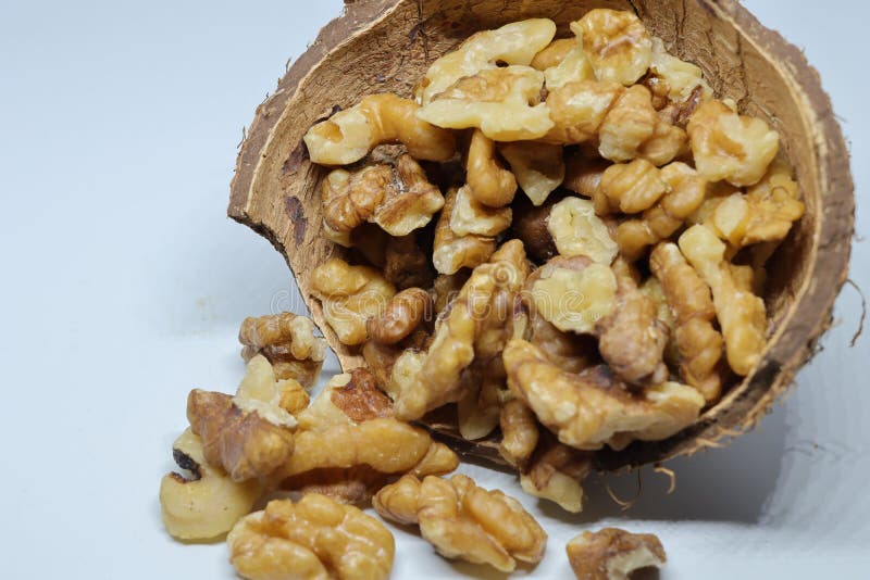 Wall Nuts Isolated on White Background Stock Photo - Image of group ...