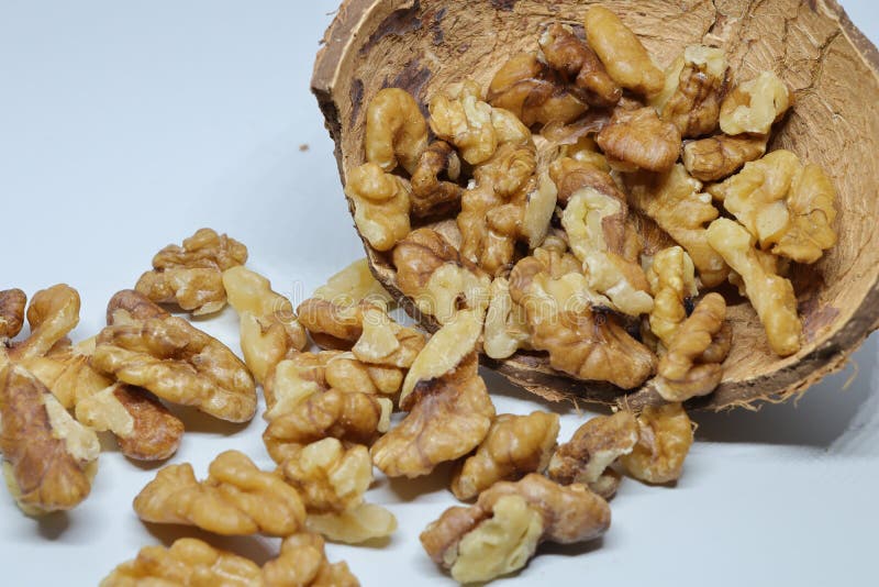 Wall Nuts Isolated on White Background Stock Photo - Image of nature ...