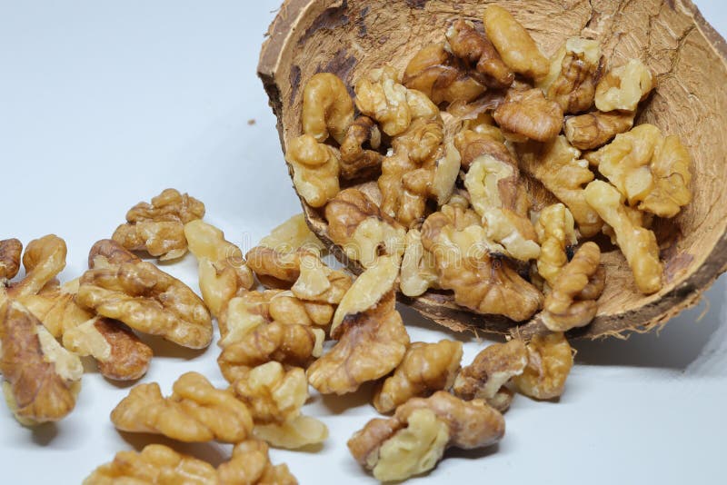 Wall Nuts Isolated on White Background Stock Image - Image of healthy ...